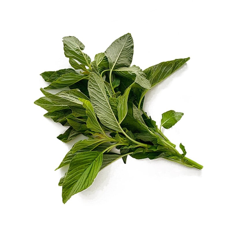 ΒΛΗΤΟ ΝΕΑ ΕΚΠΟΜΠΗ ΠΡΟΣΒΑΣΙΜΗ ΣΕ ΟΛΟΥΣ ΠΡΕΜΙΕΡΑ ΣΗΜΕΡΑ 23.15 ...