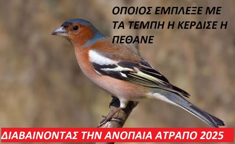 ΣΠΙΝΟΣ ΝΕΑ ΕΚΠΟΜΠΗ ΠΡΟΣΒΑΣΙΜΗ ΣΕ ΟΛΟΥΣ ΠΡΕΜΙΕΡΑ ΣΗΜΕΡΑ 23.15 ...